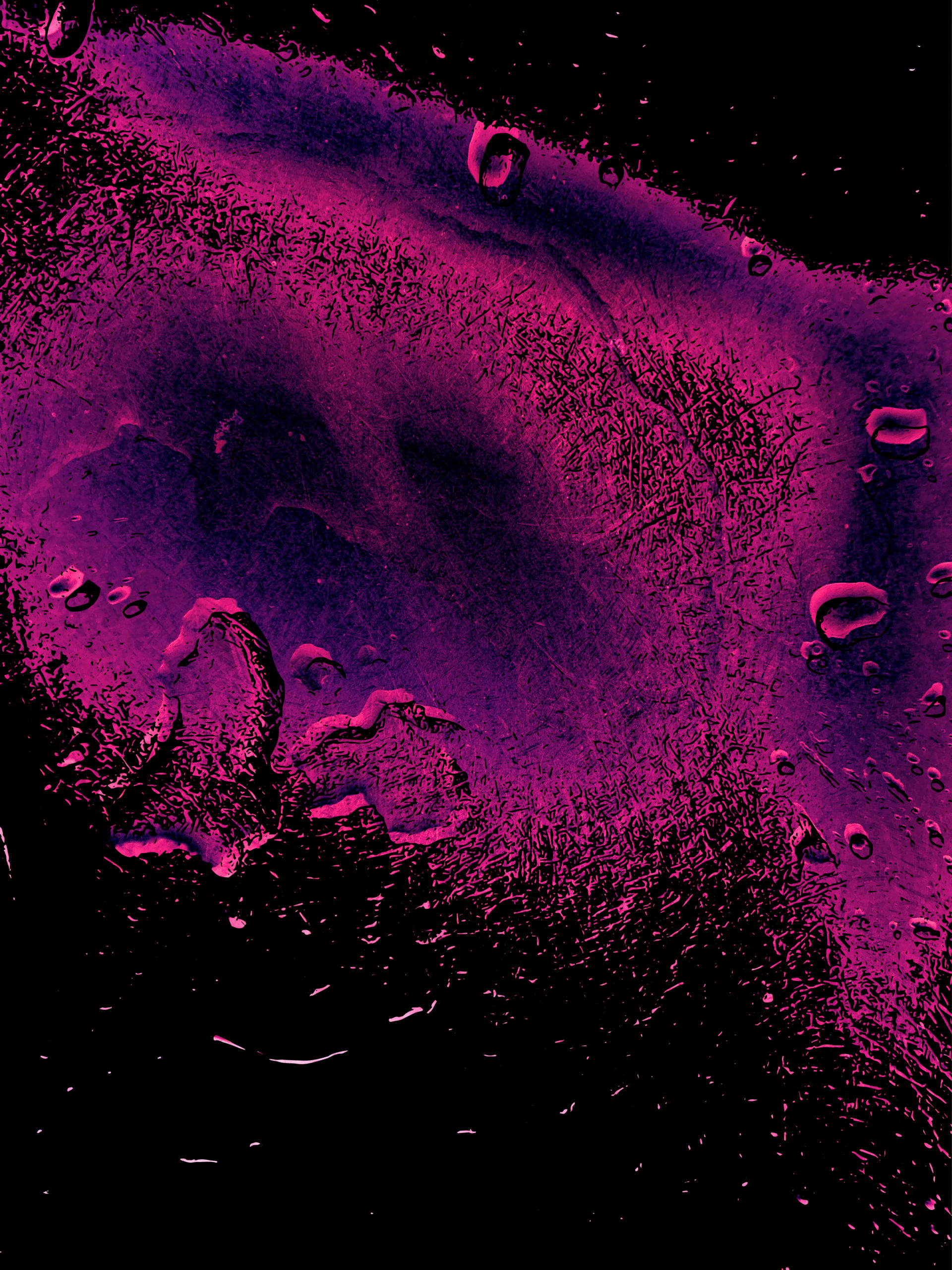 Subscribe - 2 unique bright coffees each month - Luna Coffee