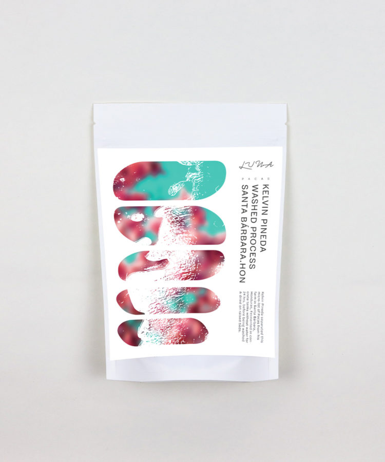 Kelvin Pineda ~ Pacas | Santa Bárbara, Honduras - Luna Coffee